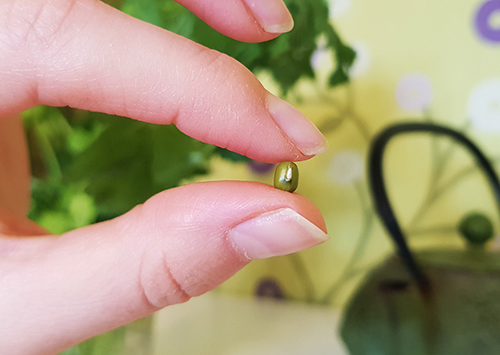 The forgotten Mung Beans: Protein Boost and Tasty Recipe! - Zero Waste ...